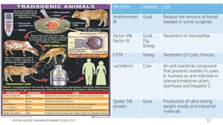 Transgenic animals | PPTX