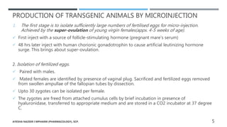 Transgenic animals | PPTX