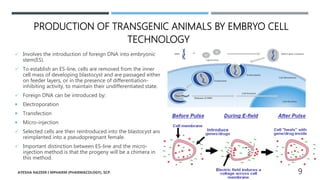 Transgenic animals | PPTX