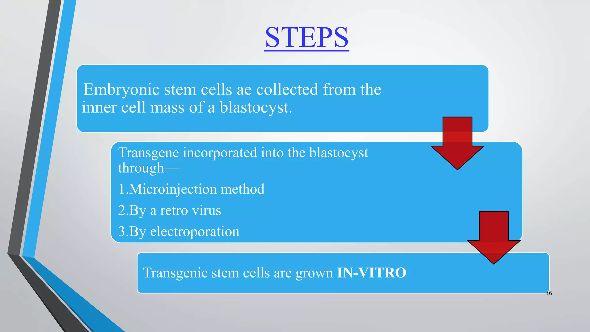 Transgenic animals | PPTX