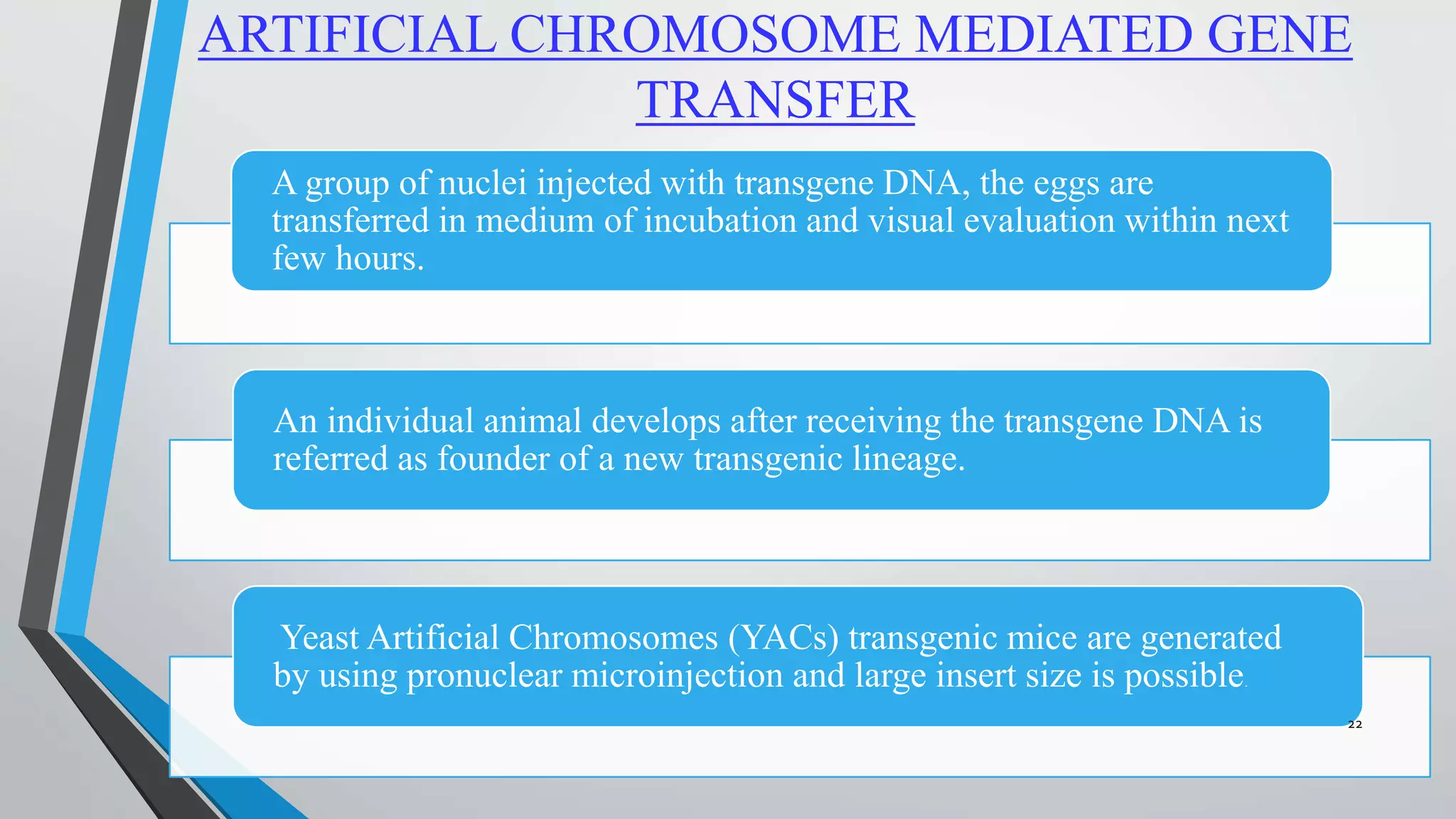 Transgenic animals | PPTX