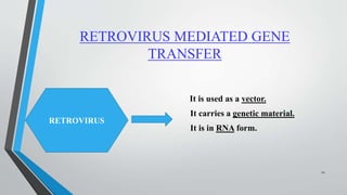 Transgenic animals | PPTX