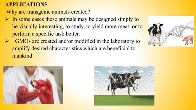 Transgenic animals | PPT