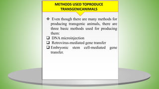 Transgenic animals | PPTX