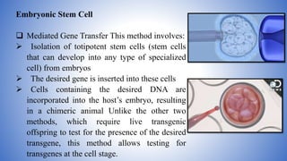 Transgenic animals | PPT