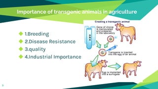 Transgenic animals | PPTX