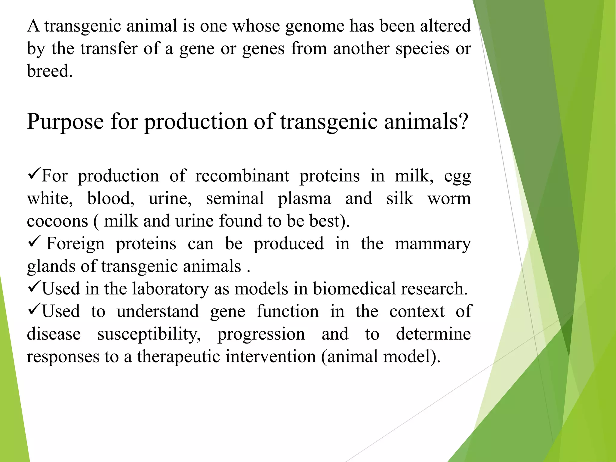 Transgenic animals.pptx