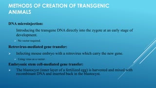 Transgenic Animals.pdf