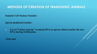 Transgenic Animals.pdf
