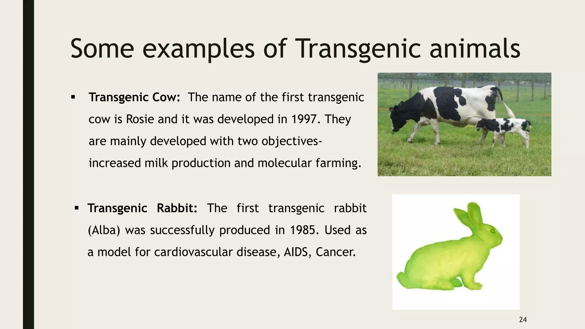 Transgenic animals.pptx