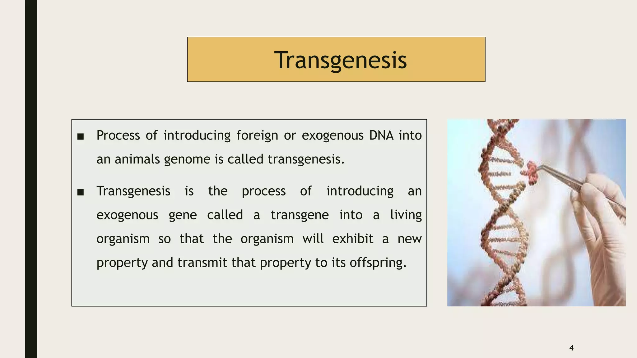 Transgenic animals.pptx