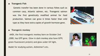 Transgenic animals.pptx
