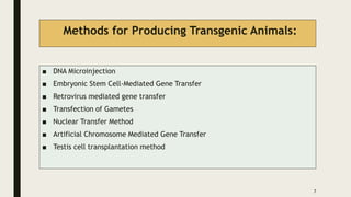 Transgenic animals.pptx