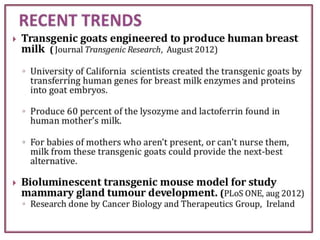 TRANSGENIC ANIMALS/GENETICALLY MODIFIED ORGANISMS | PPTX