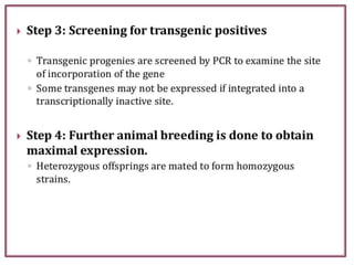 TRANSGENIC ANIMALS/GENETICALLY MODIFIED ORGANISMS | PPTX