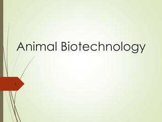 Transgenic Animals: The ability to manipulate the genome of the whole ...