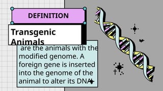 tRANSGENIC ANIMALS.pptx Biotechnology 88 | PPT