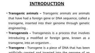 transgenic animals in drug discovery and toxic testing methods.pptx