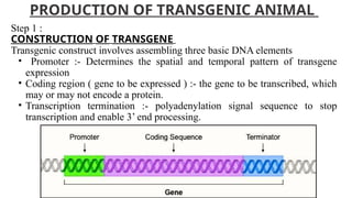 transgenic animals in drug discovery and toxic testing methods.pptx