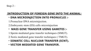 transgenic animals in drug discovery and toxic testing methods.pptx