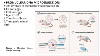 transgenic animals in drug discovery and toxic testing methods.pptx