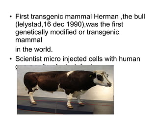 Transgenic animals | PPT