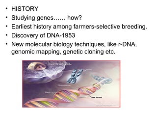 Transgenic animals | PPT