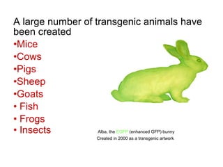 Transgenic animals | PPT
