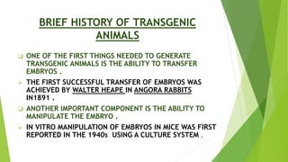 Transgenic animals (1) panjab university | PPTX