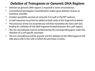 Transgenic animals and their different methods of production | PPTX