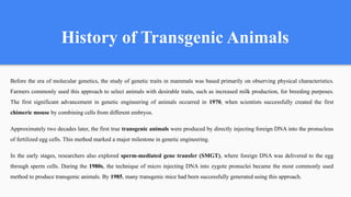Transgenic Animals Explained | Production, Care, and Uses in Research ...