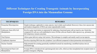 Transgenic Animals Explained | Production, Care, and Uses in Research ...