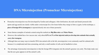 Transgenic Animals Explained | Production, Care, and Uses in Research ...