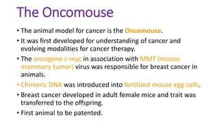 TRANSGENIC ANIMALS | PPTX