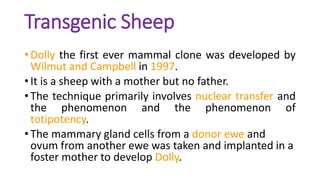 TRANSGENIC ANIMALS | PPTX
