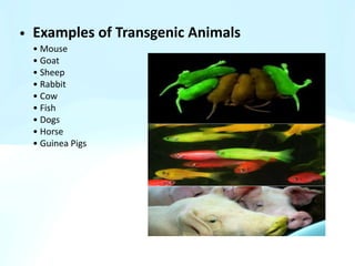 transgenic animals by apexa.pdf