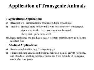 Transgenic animals by Kashikant Yadav | PPTX
