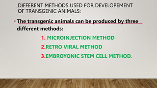 Transgenic Animals developement and uses(M.NAGAPRADHEESH).pptx