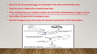Transgenic Animals developement and uses(M.NAGAPRADHEESH).pptx