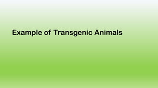 Transgenic animals in agriculture and nutritional science (AAsis).pdf