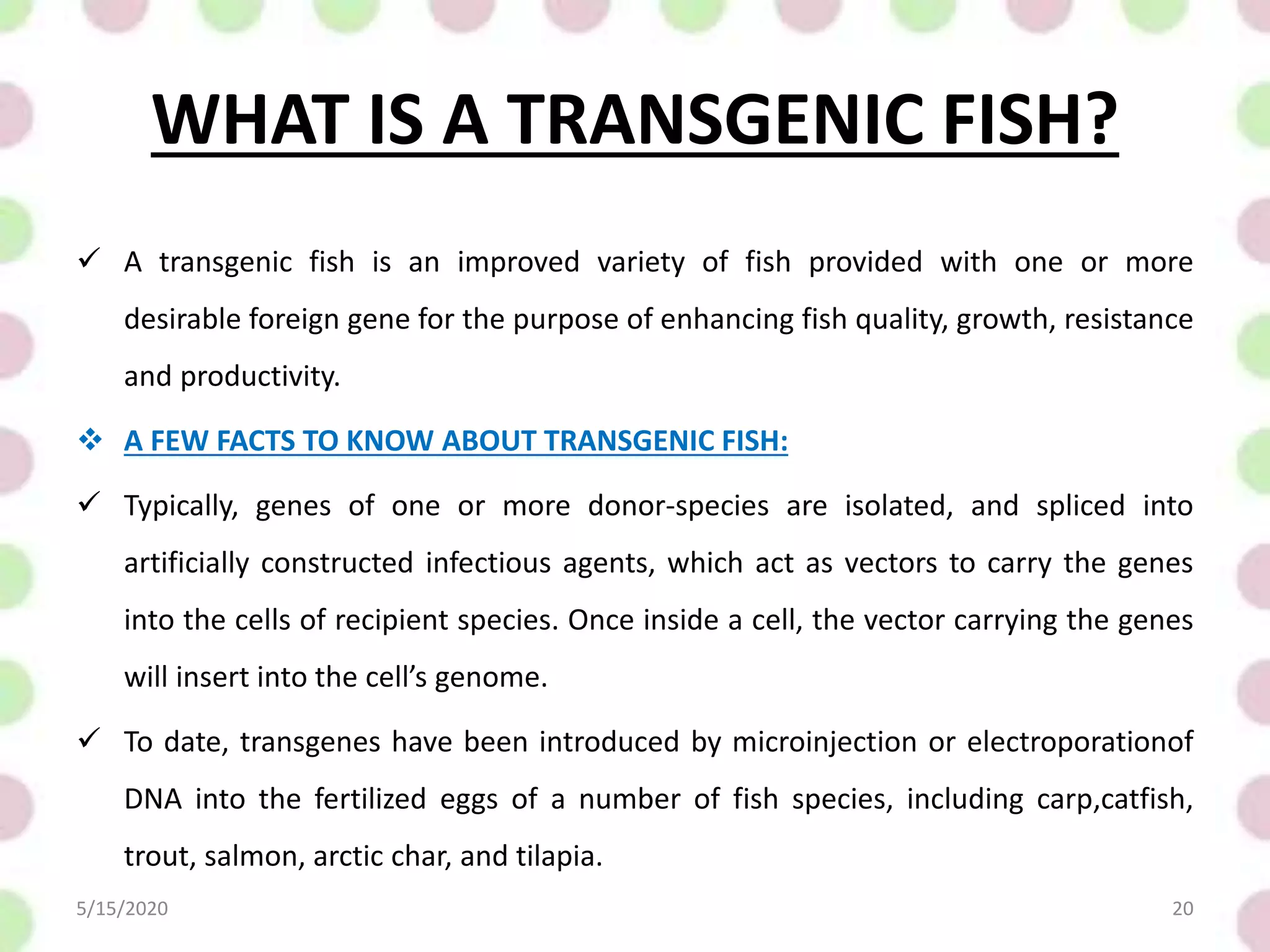 Transgenic animals, mice and fish | PPTX