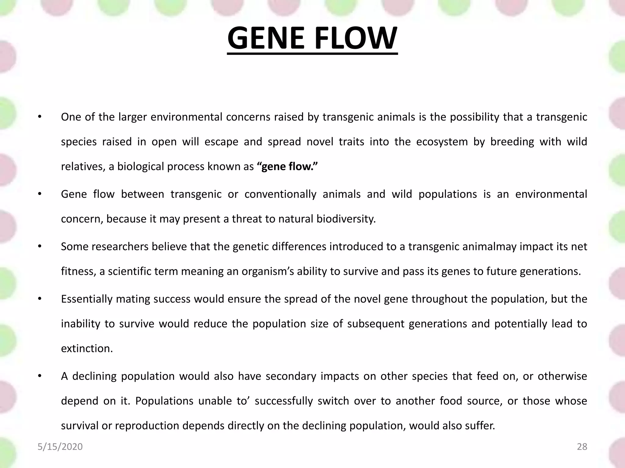 Transgenic animals, mice and fish | PPTX