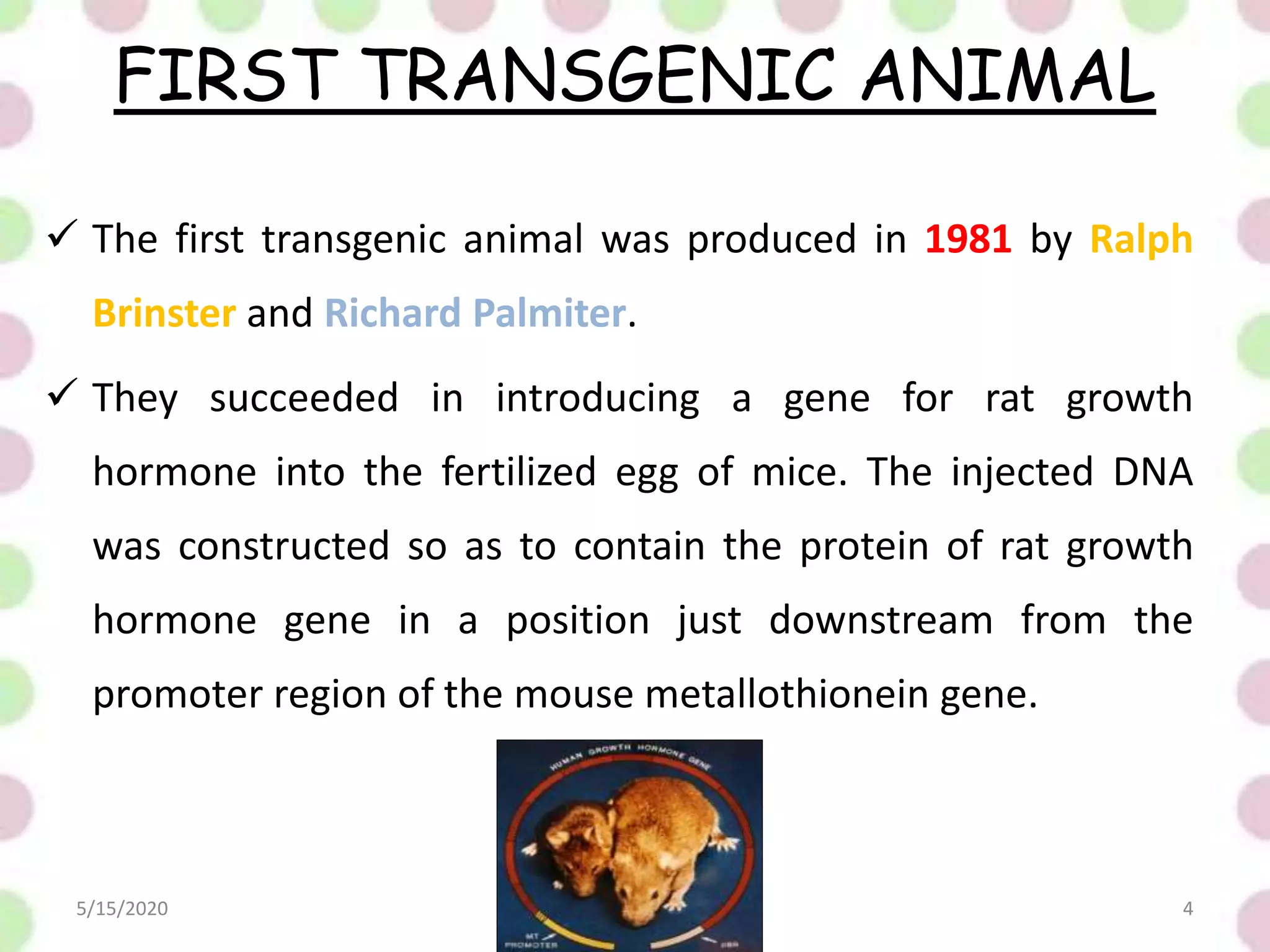 Transgenic animals, mice and fish | PPTX