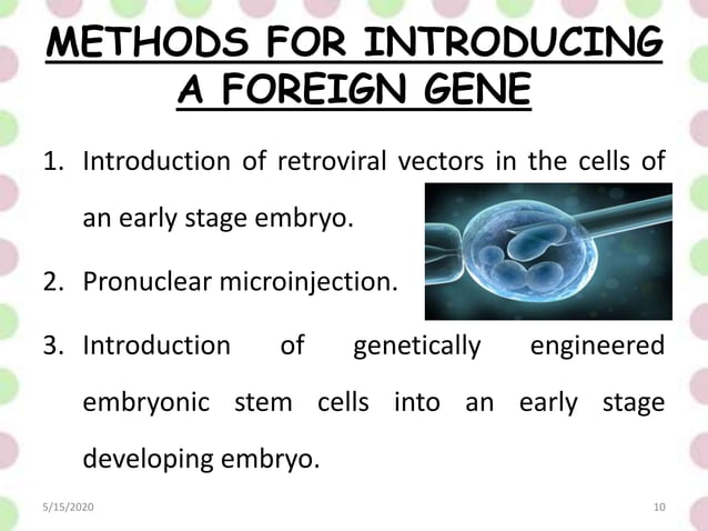 Transgenic animals, mice and fish | PPTX
