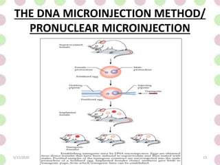 Transgenic animals, mice and fish | PPTX