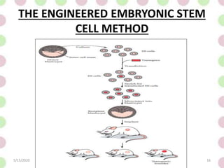 Transgenic animals, mice and fish | PPTX