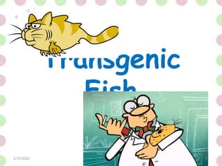 Transgenic animals, mice and fish | PPTX