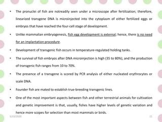 Transgenic animals, mice and fish | PPTX