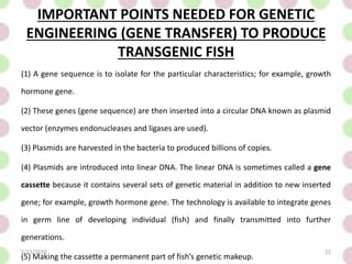 Transgenic animals, mice and fish | PPTX