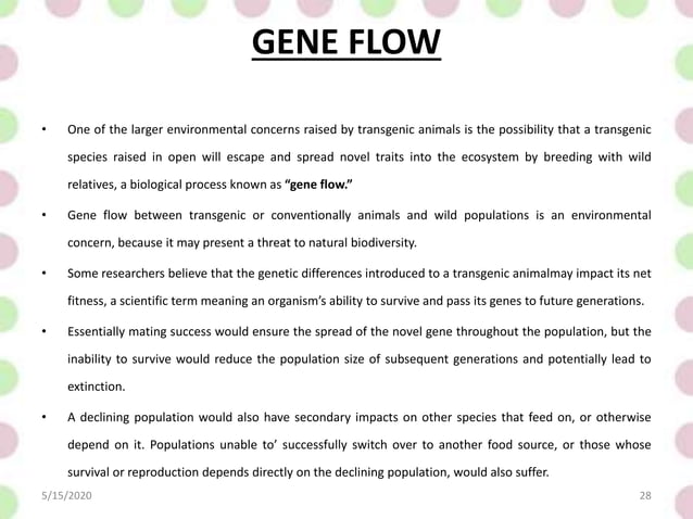 Transgenic animals, mice and fish | PPTX
